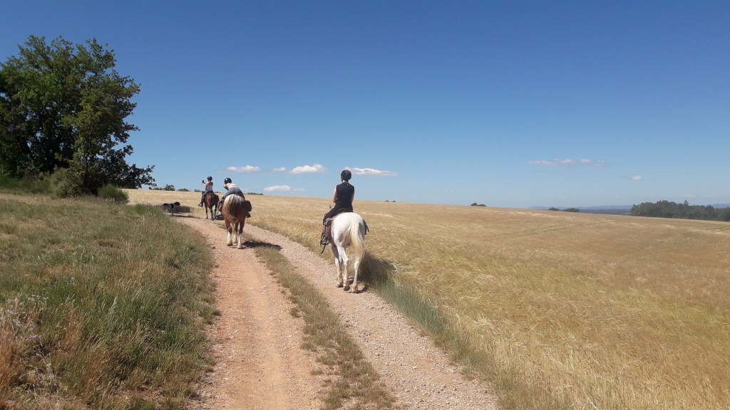 Explora Project à cheval! - Domaine de la Blache