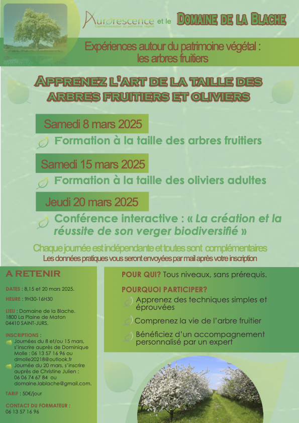 Apprenez l'Art de la Taille en 2025 - Domaine de la Blache